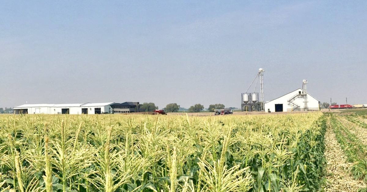 Let's Talk About Your Farm | Independent Crop Inputs