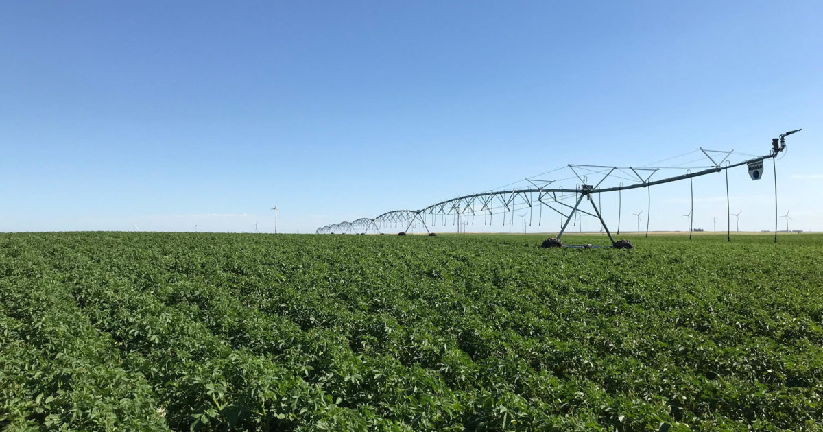 Crop Nutrition | Independent Crop Inputs